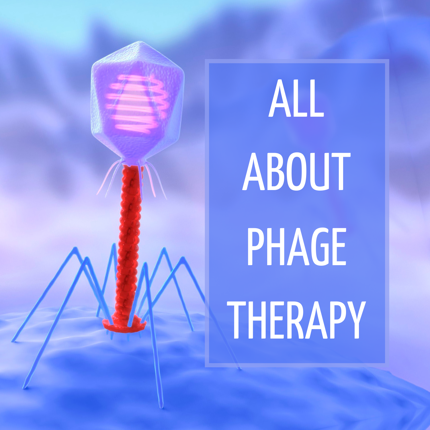 Phage Therapy in India – Vitalis Phage Therapy